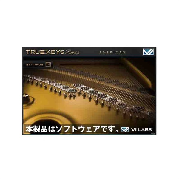 VI Labs True Keys : American Grand (代引不可)(オンライン納品) ｜イケベ楽器店オンラインストア