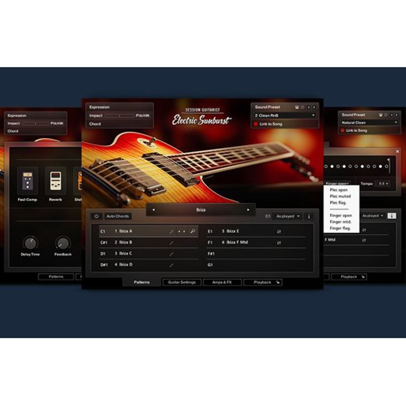 Native Instruments Session Guitarist - Electric Sunburst (ネイティブインストルメンツ ...