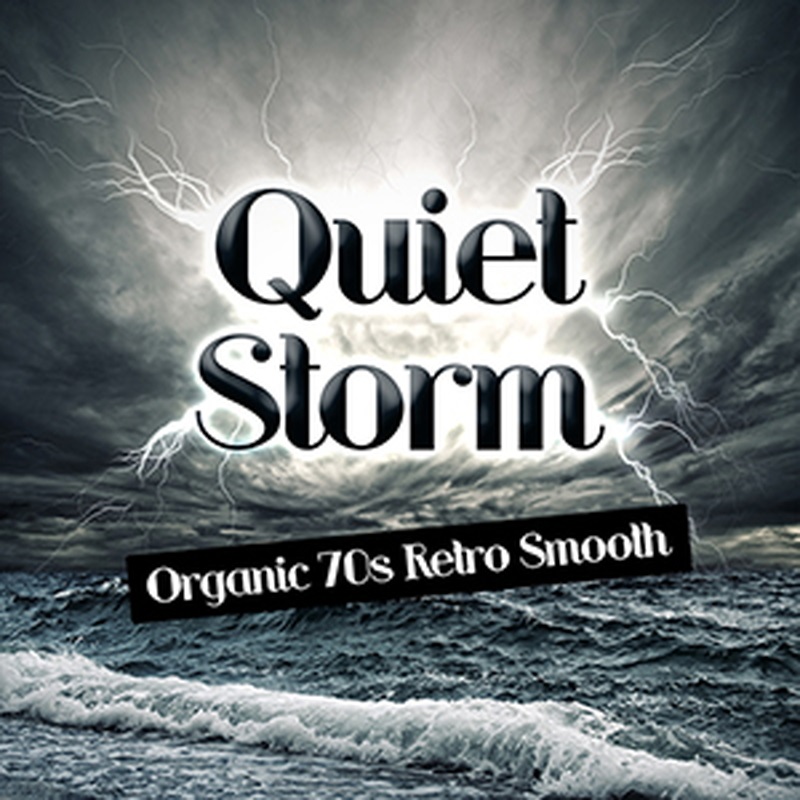 BIG FISH AUDIO QUIET STORM(オンライン納品)(2時間以内に納品) ｜イケベ楽器店オンラインストア