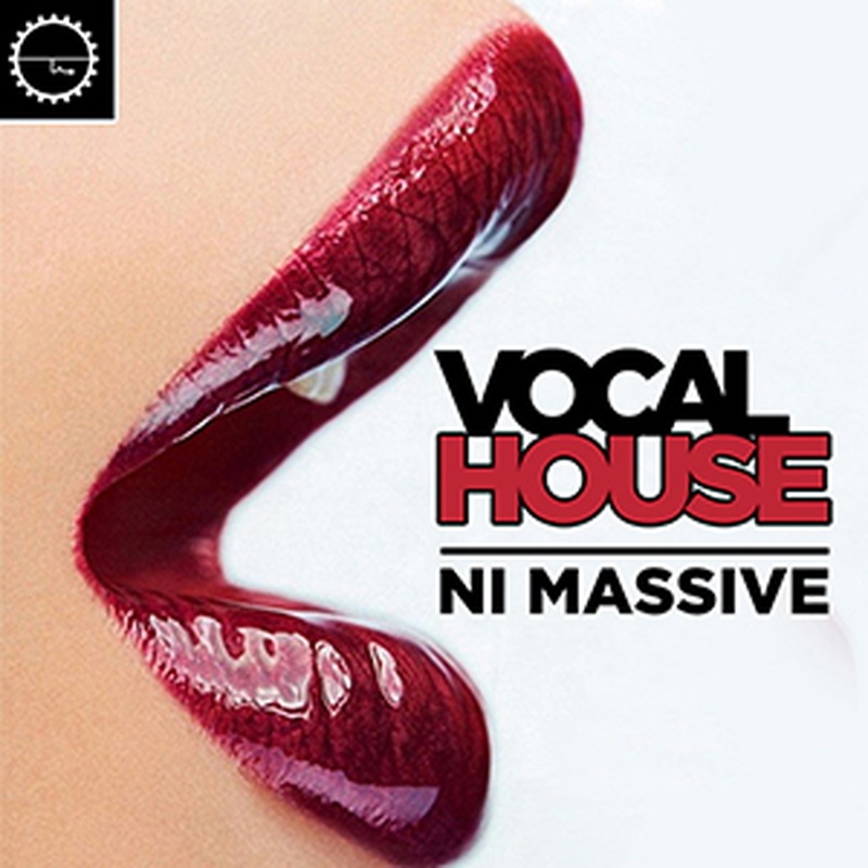 INDUSTRIAL STRENGTH VOCAL HOUSE MASSIVE(オンライン納品)(2時間以内に納品) ｜イケベ楽器店オンラインストア