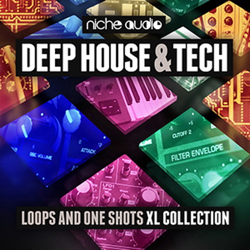 NICHE AUDIO DEEP HOUSE & TECH BUNDLE(オンライン納品)(2時間以内に納品) ｜イケベ楽器店オンラインストア