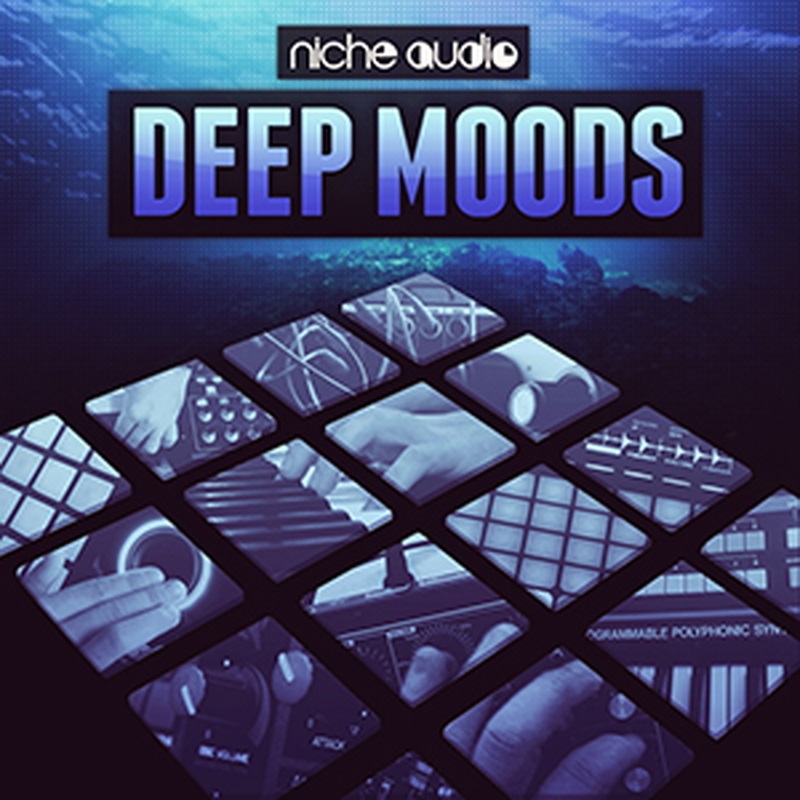 NICHE AUDIO DEEP MOODS - ABLETON(オンライン納品)(2時間以内に納品) ｜イケベ楽器店オンラインストア