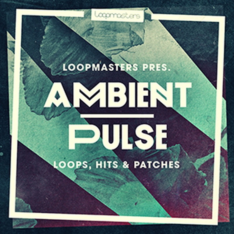 LOOPMASTERS AMBIENT PULSE(オンライン納品)(2時間以内に納品) ｜イケベ楽器店オンラインストア
