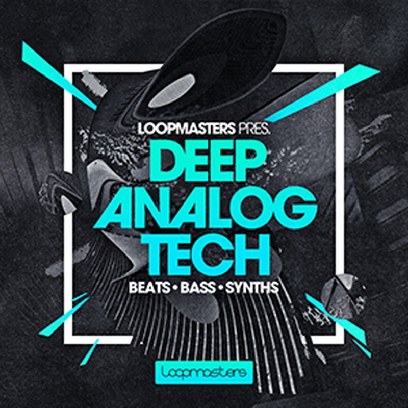 LOOPMASTERS DEEP ANALOG TECH(オンライン納品)(2時間以内に納品) ｜イケベ楽器店オンラインストア
