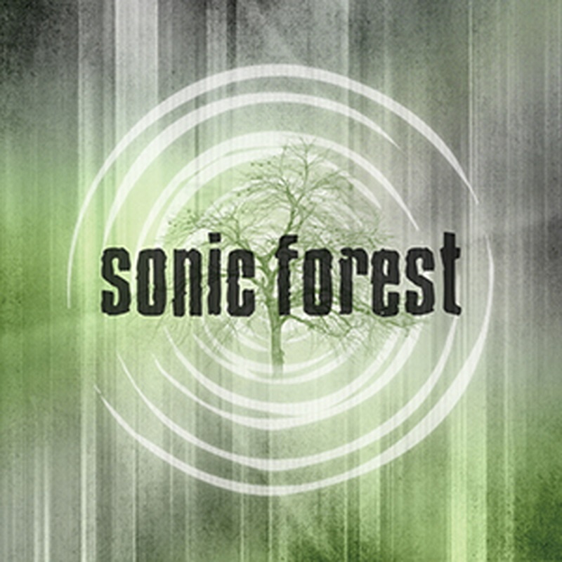 IMPACT SOUNDWORKS SONIC FOREST(オンライン納品)(2時間以内に納品) ｜イケベ楽器店オンラインストア