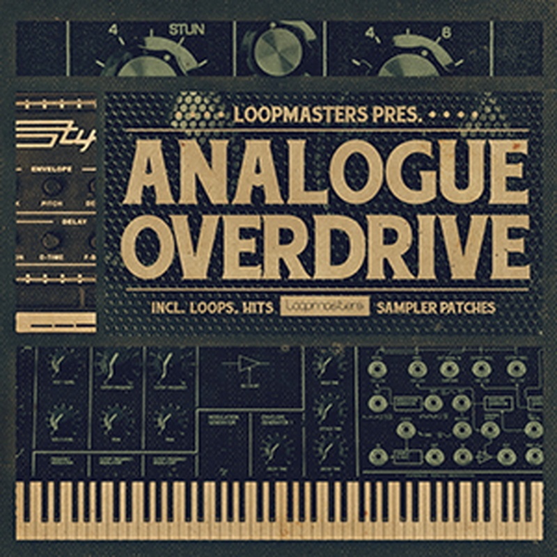 LOOPMASTERS ANALOGUE OVERDRIVE(オンライン納品)(2時間以内に納品) ｜イケベ楽器店オンラインストア