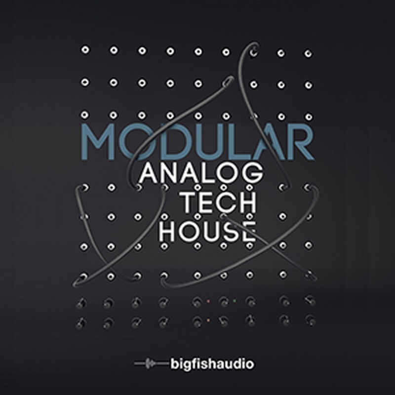 BIG FISH AUDIO MODULAR ANALOG TECH HOUSE(オンライン納品)(2時間以内に納品) ｜イケベ楽器店オンラインストア
