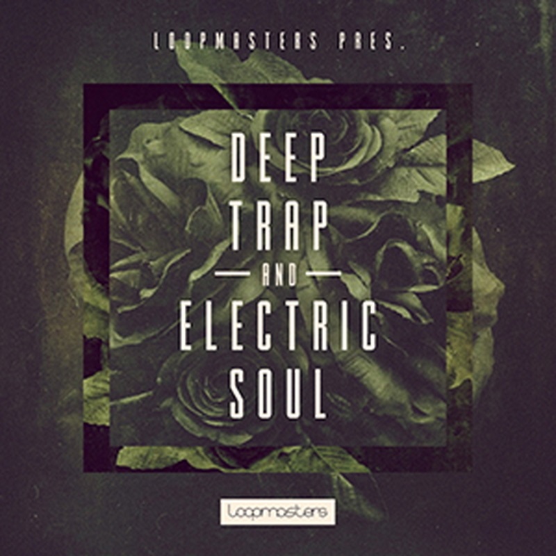 LOOPMASTERS 【サンプルパックが30%OFF！GWセール！】DEEP TRAP & ELECTRIC SOUL(オンライン納品)(2時間以内に納品) ｜イケベ楽器店オンラインストア