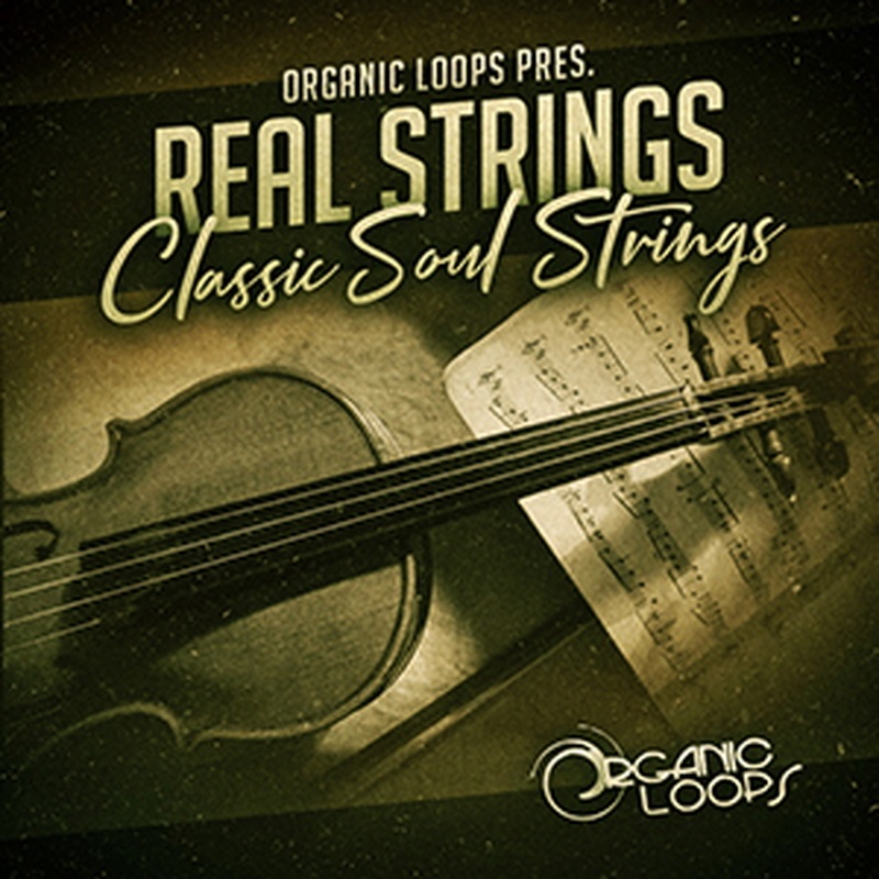 ORGANIC LOOPS REAL STRINGS - CLASSIC SOUL STRINGS(オンライン納品)(2時間以内に納品) ｜イケベ楽器店オンラインストア