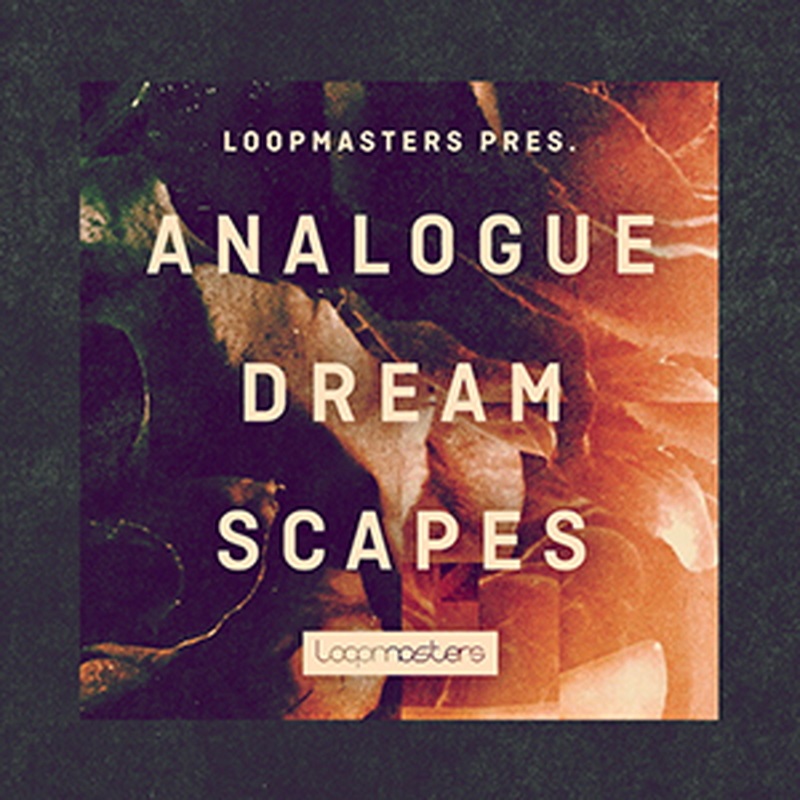LOOPMASTERS ANALOGUE DREAMSCAPES(オンライン納品)(2時間以内に納品) ｜イケベ楽器店オンラインストア