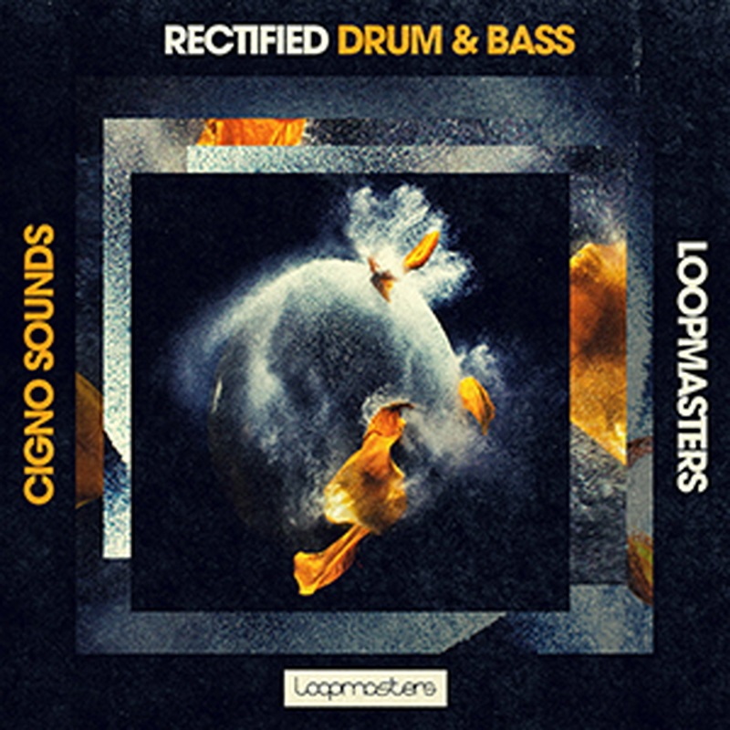 LOOPMASTERS RECTIFIED DRUM & BASS(オンライン納品)(2時間以内に納品) ｜イケベ楽器店オンラインストア