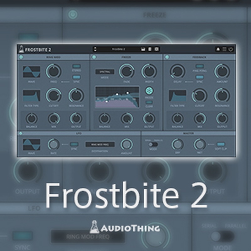 AUDIOTHING FROSTBITE 2(オンライン納品)(2時間以内に納品) ｜イケベ楽器店オンラインストア