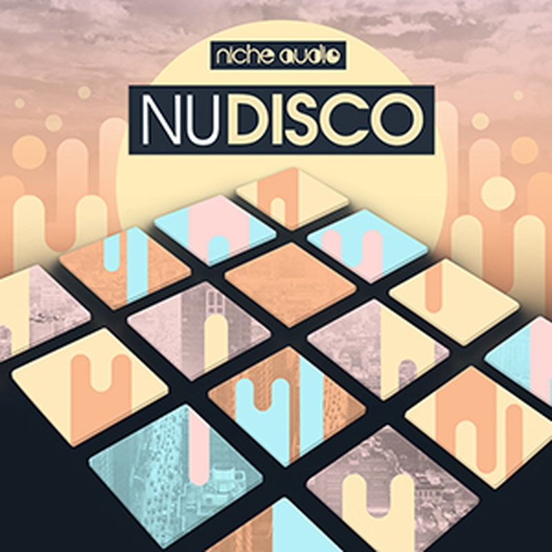 NICHE AUDIO NU DISCO ABLETON(オンライン納品)(2時間以内に納品) ｜イケベ楽器店オンラインストア