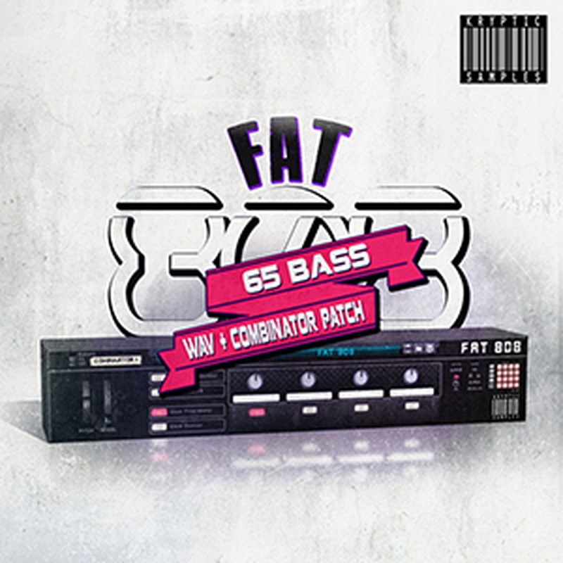 KRYPTIC SAMPLES FAT 808(オンライン納品)(2時間以内に納品) ｜イケベ楽器店オンラインストア