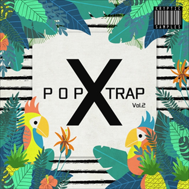 KRYPTIC SAMPLES POP X TRAP VOL 2(オンライン納品)(2時間以内に納品) ｜イケベ楽器店オンラインストア
