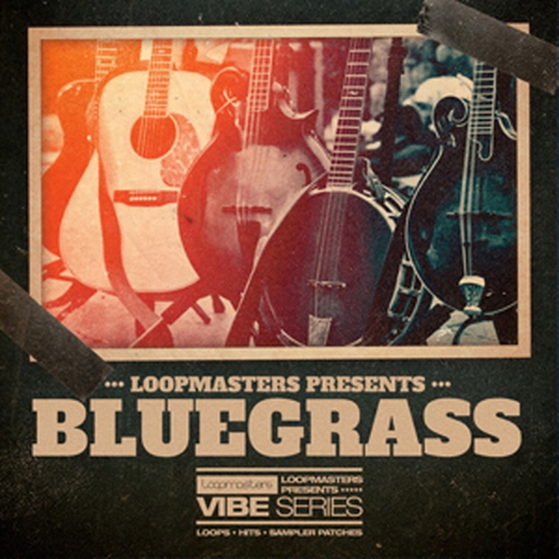 LOOPMASTERS VIBES 14 - BLUEGRASS(オンライン納品)(2時間以内に納品) ｜イケベ楽器店オンラインストア