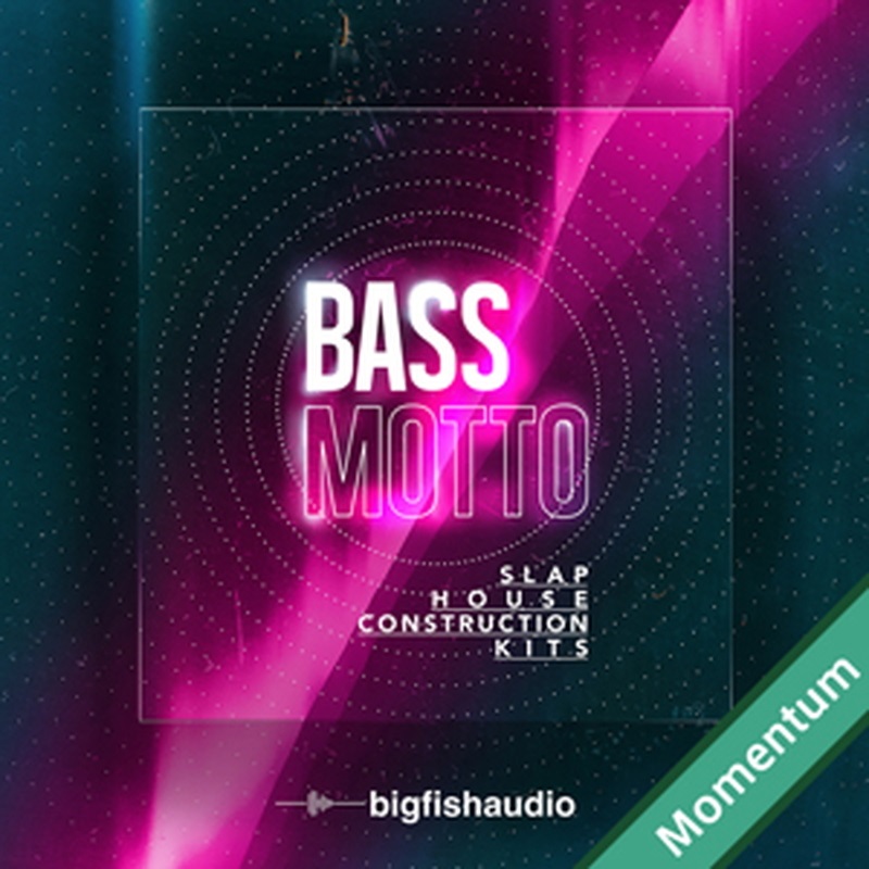 BIG FISH AUDIO BASS MOTTO - SLAP HOUSE CONSTRUCTION KITS MMT(オンライン納品)(2時間以内に納品) ｜イケベ楽器店オンラインストア