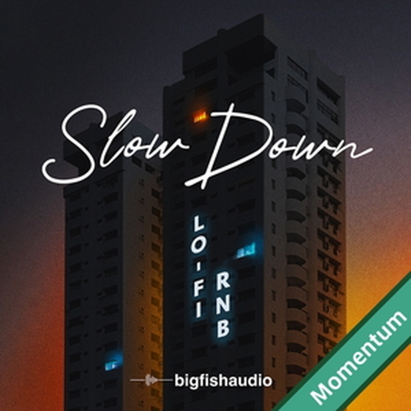 BIG FISH AUDIO SLOW DOWN - LO-FI RNB MMT(オンライン納品)(2時間以内に納品) ｜イケベ楽器店オンラインストア