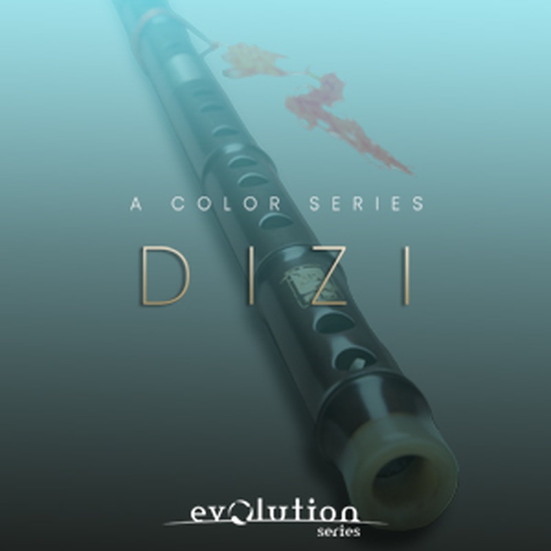 EVOLUTION SERIES WORLD COLORS DIZI(オンライン納品)(2時間以内に納品) ｜イケベ楽器店オンラインストア