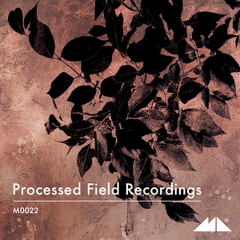 MODEAUDIO PROCESSED FIELD RECORDINGS(オンライン納品)(2時間以内に納品) ｜イケベ楽器店オンラインストア
