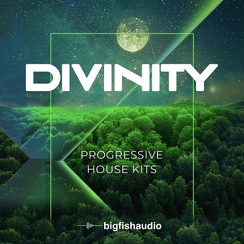 BIG FISH AUDIO DIVINITY - PROGRESSIVE HOUSE KITS(オンライン納品)(2時間以内に納品) ｜イケベ楽器店オンラインストア