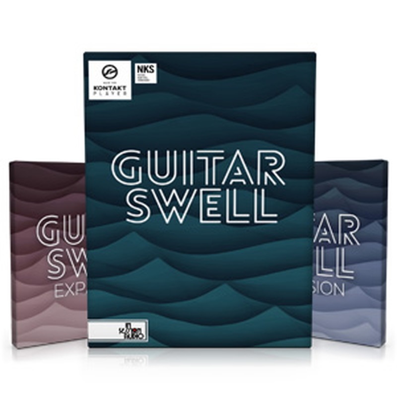 IN SESSION AUDIO GUITAR SWELL ＋ EXPANSION(オンライン納品)(2時間以内に納品) ｜イケベ楽器店オンラインストア