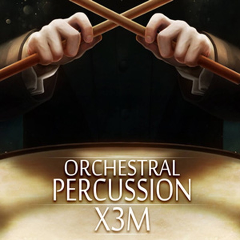 STREZOV SAMPLING ORCHESTRAL PERCUSSION X3M(オンライン納品)(2時間以内に納品) ｜イケベ楽器店 ...