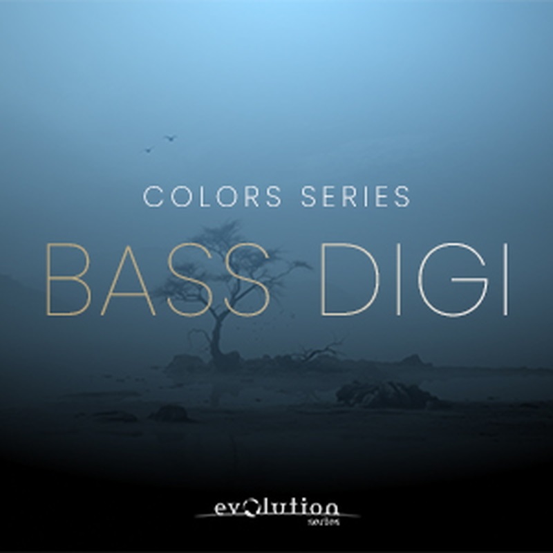 EVOLUTION SERIES WORLD COLORS BASS DIZI(オンライン納品)(2時間以内に納品) ｜イケベ楽器店オンラインストア