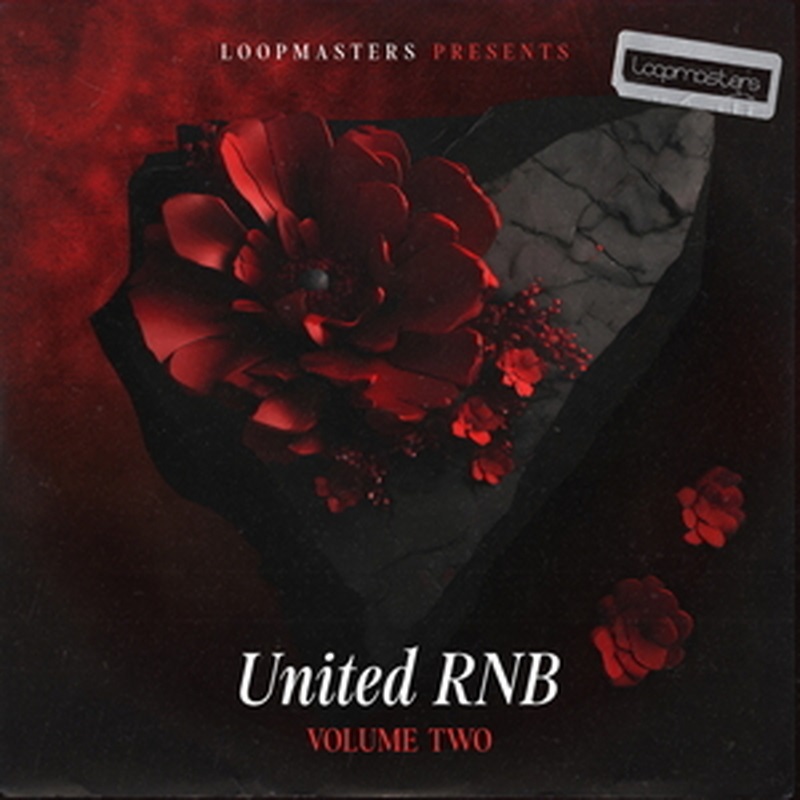 LOOPMASTERS UNITED RNB VOL 2(オンライン納品)(2時間以内に納品) ｜イケベ楽器店オンラインストア