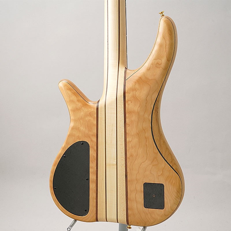 Phoenix PH-III-4 Buckeye Burl ｜イケベ楽器店オンラインストア