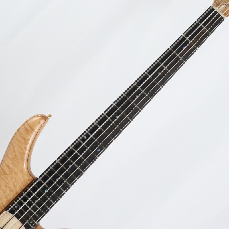 Phoenix PH-III-5 Quilted Maple ｜イケベ楽器店オンラインストア