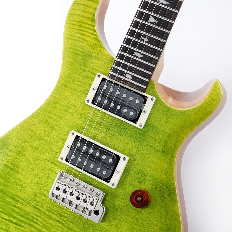 P.R.S. SE Custom 24 (Eriza Verde) [日本限定カラーモデル P.R.S. SE Custom 24 (Eriza Verde) [日本限定カラーモデル