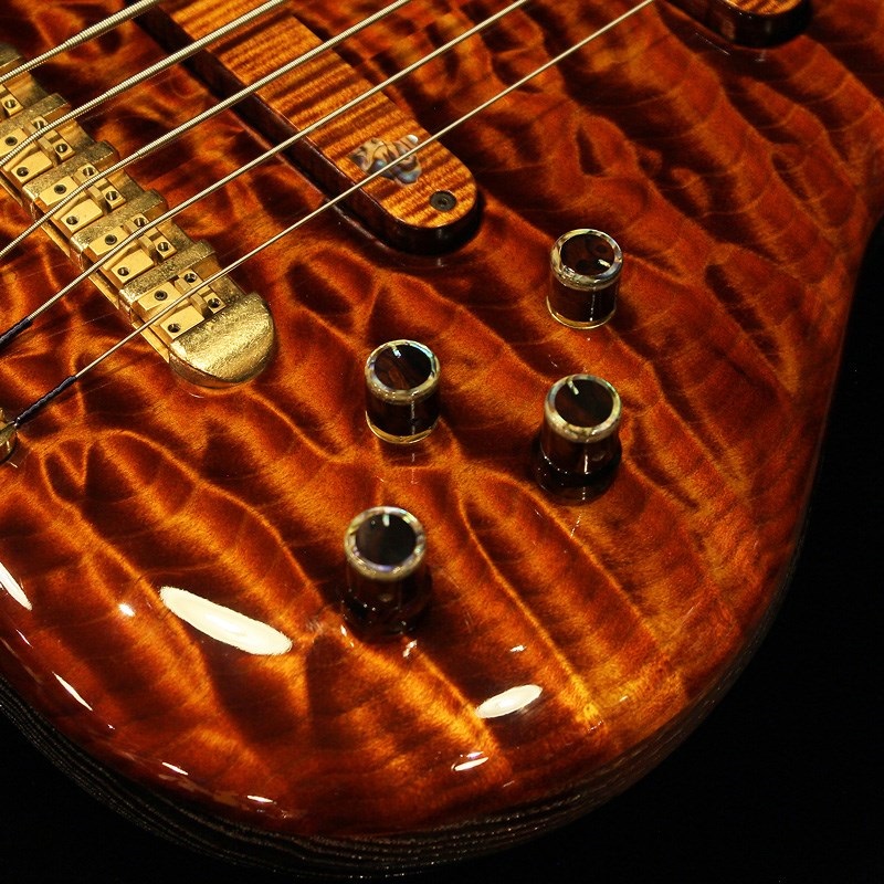 Ritter 【USED】 CORA 5st (Quilted Maple Top) '14 ｜イケベ楽器店オンラインストア