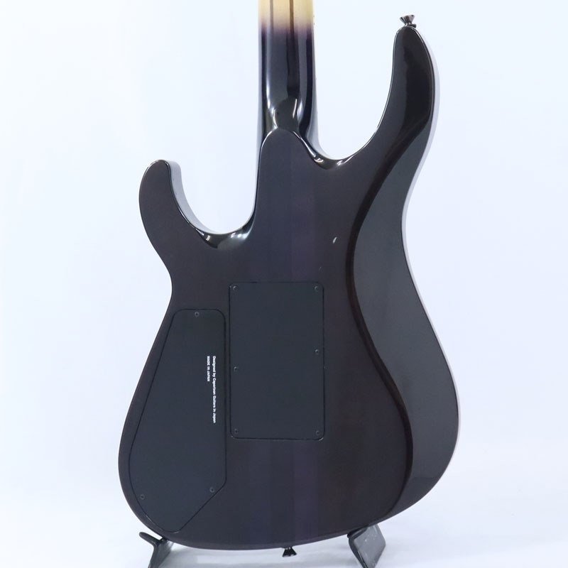 Caparison 【USED】 TAT Special CL14 (T.Black Cherry) [SN.1190178] ｜イケベ楽器店 ...