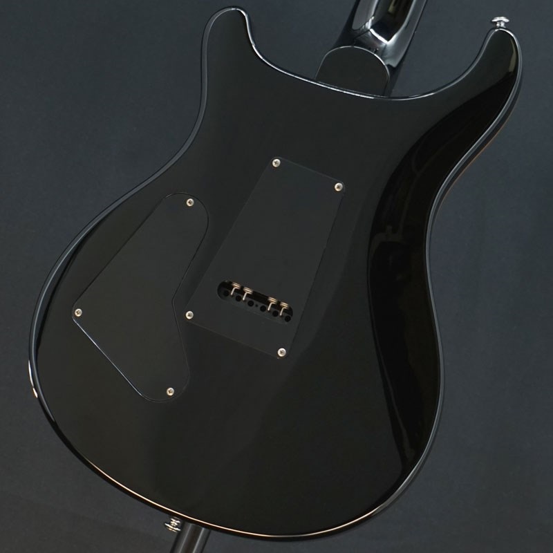 P.R.S. 【USED】SE CUSTOM 24 Bird Inlay(Whale Blue)【SN.Q07855】 ｜イケベ楽器店オンラインストア